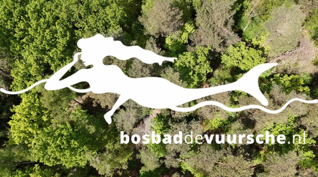 Bosbad De Vuursche - Openluchtzwembad in Baarn
